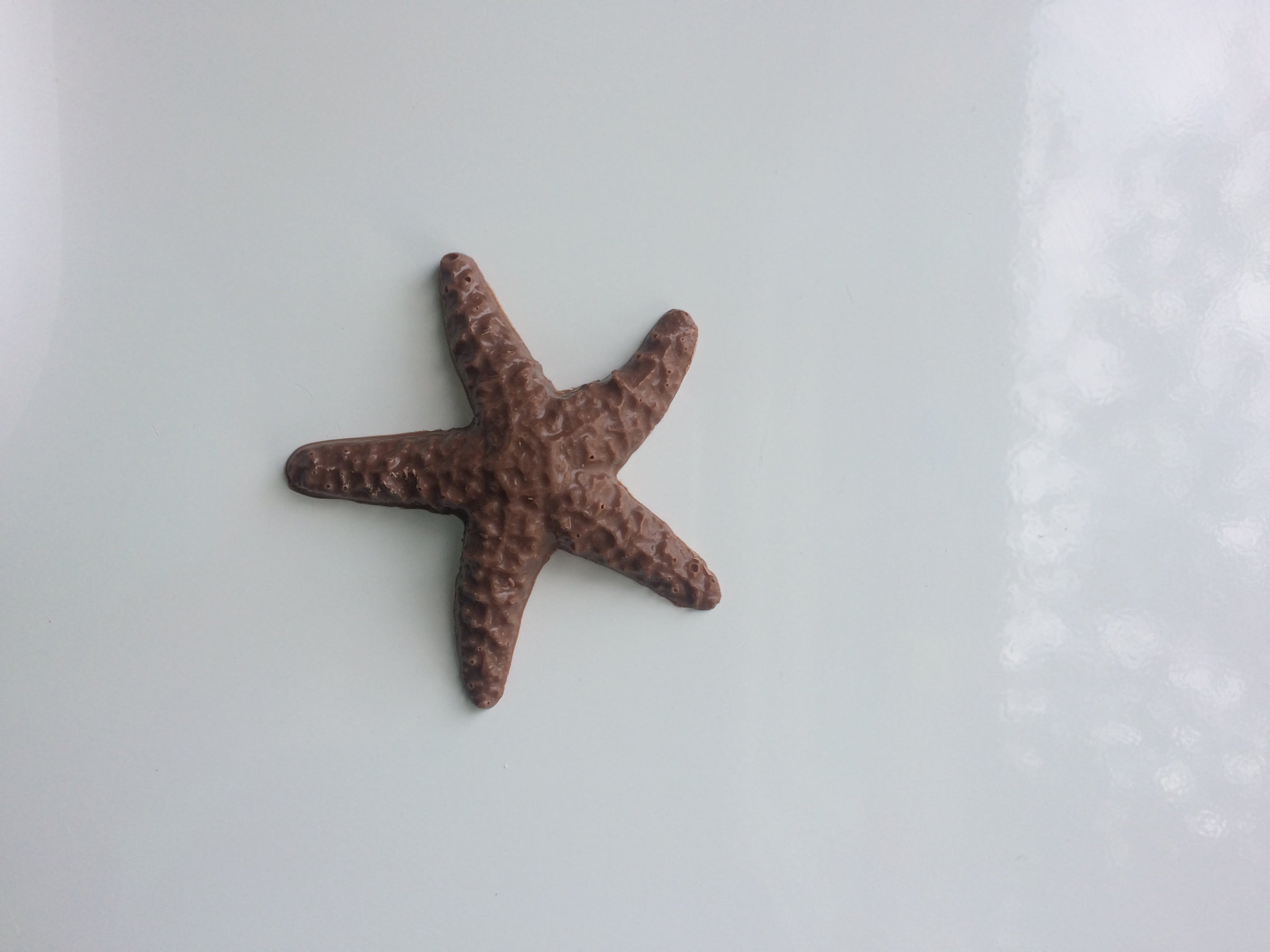 chocolate starfish