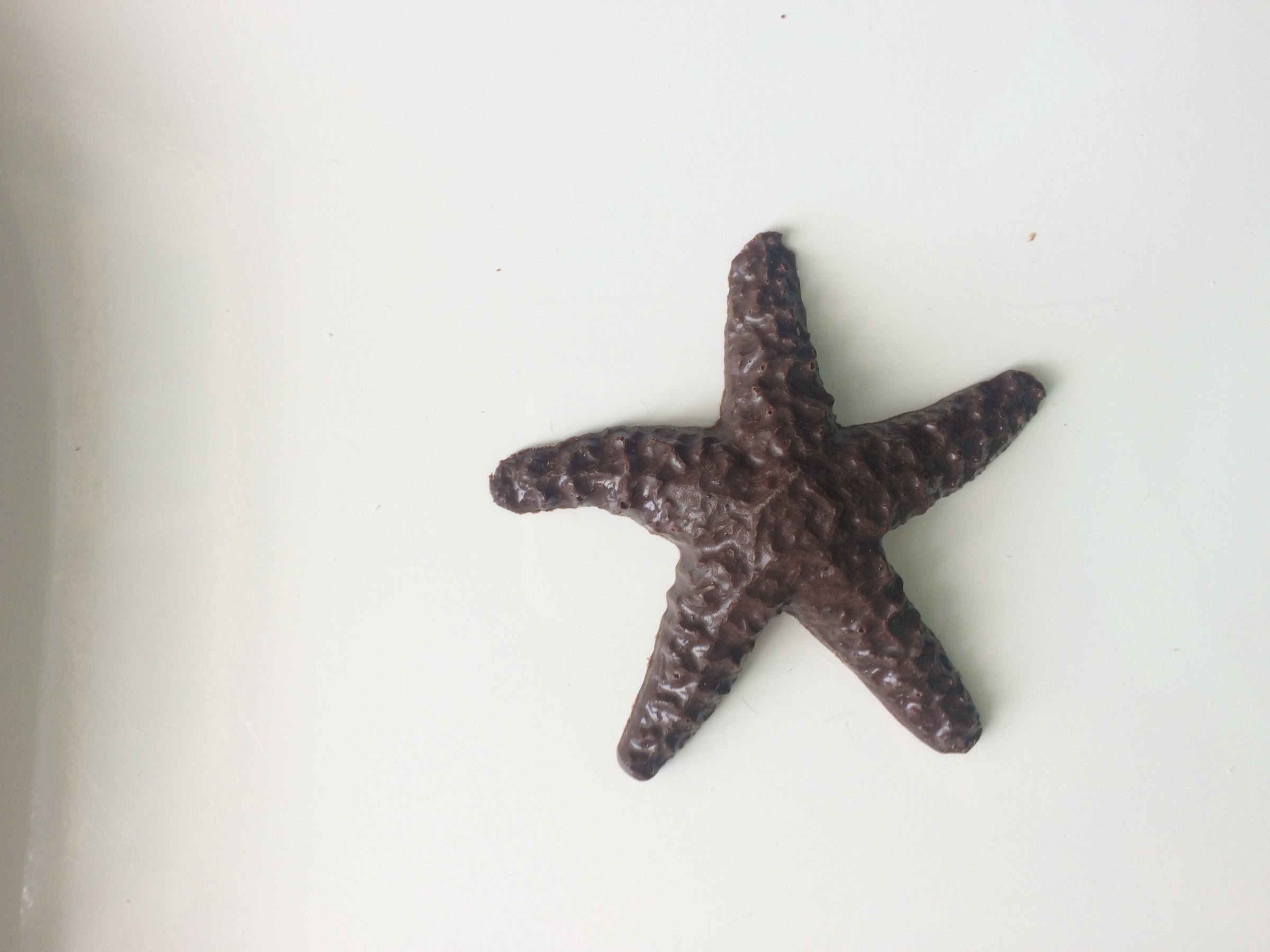 chocolate starfish